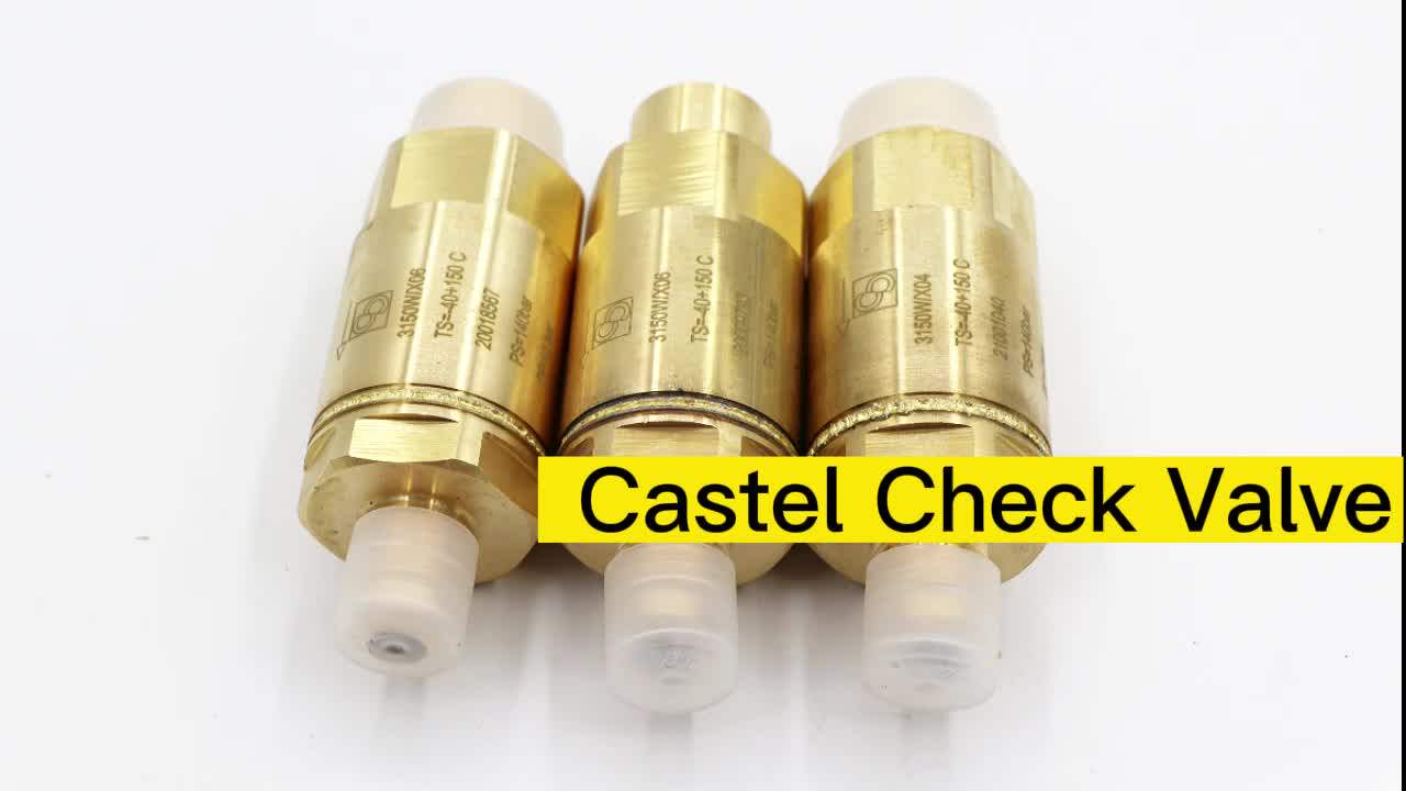 Castel Oil Reservoir Pressure Valves 3150w/x04 3150w/x05 3150w/x06 ...