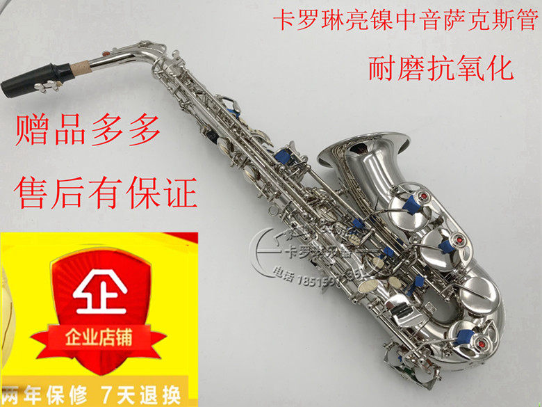 Caroline saxophone instrument E drop alto saxophone tube adult beginner ...