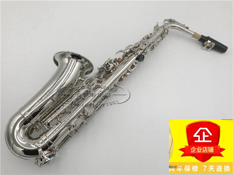 Caroline saxophone instrument E drop alto saxophone tube adult beginner ...