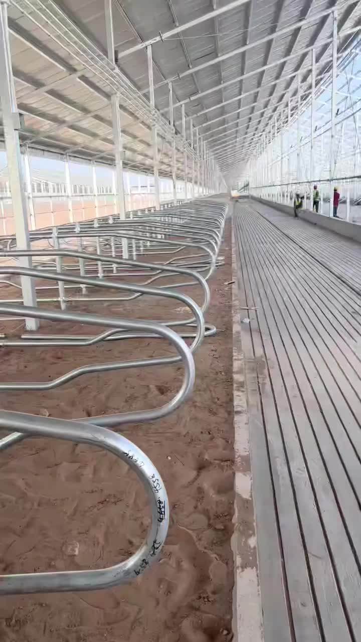 3 Meters 4 Positions Dairy Cattle Breeding Equipment Cow Calf Headlock ...