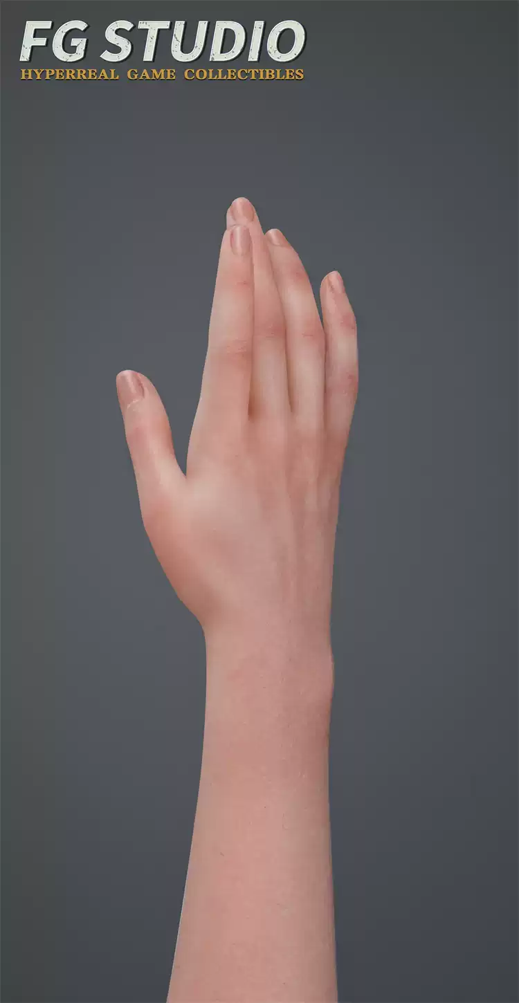 天模 FG Studio FG-004 1/3 战斗女孩 艾达王 全硅胶 可动人偶