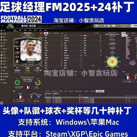 FM2024补丁25-26赛季转会+头像队徽球衣｜真实数据更新避坑指南🔥_游戏百科_淘宝游戏网
