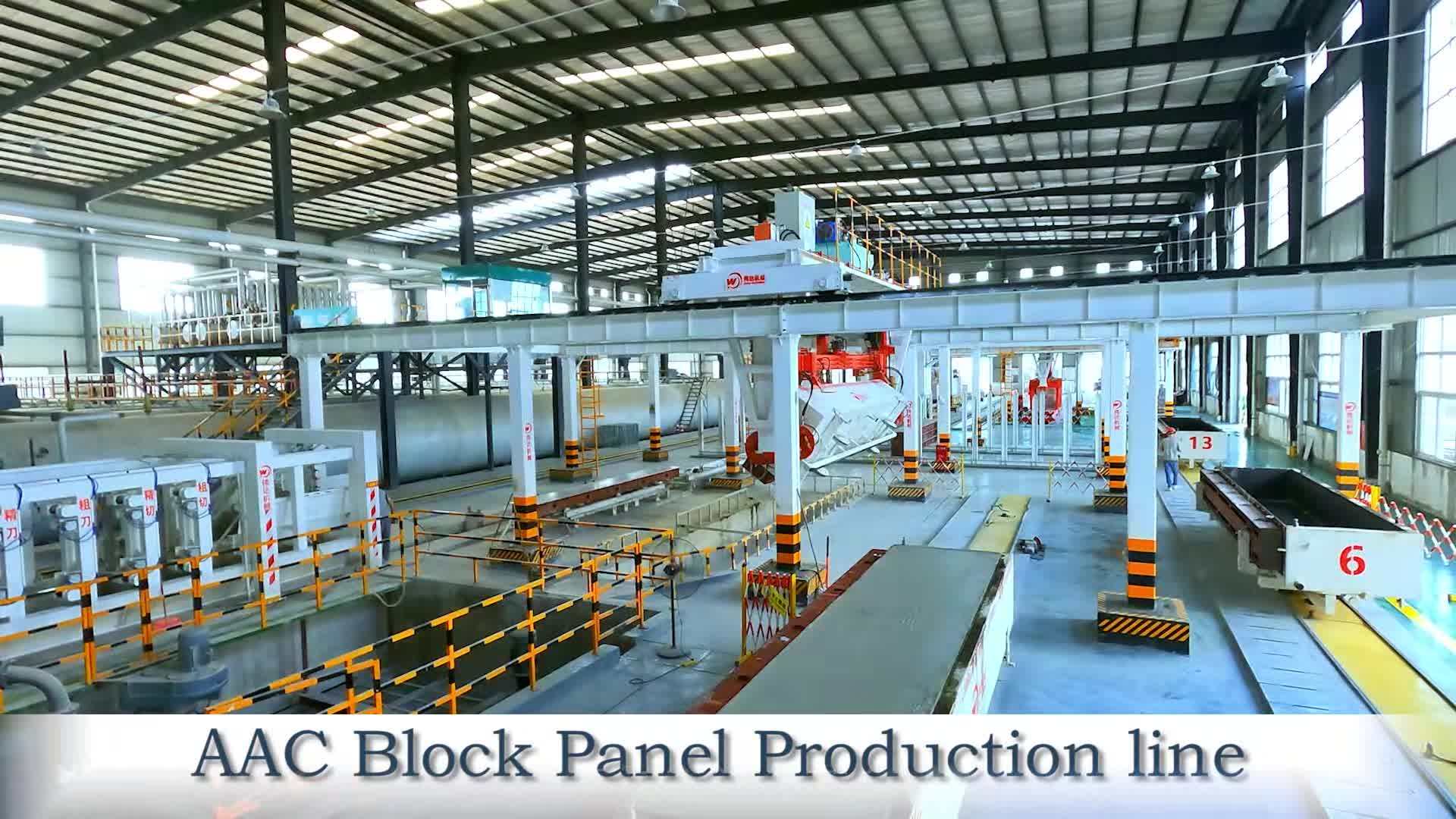 4.2m 4.8m 6m Lightweight Panel Block Cutting Machine Mould Aac Alc ...