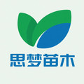 思梦苗木有限公司