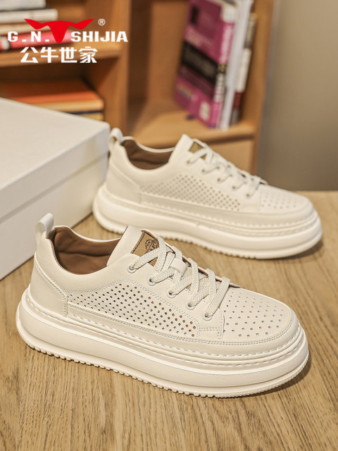 Bull Family Shoes Men's Shoes in Summer Breathable and Anti-odor Hollow ...