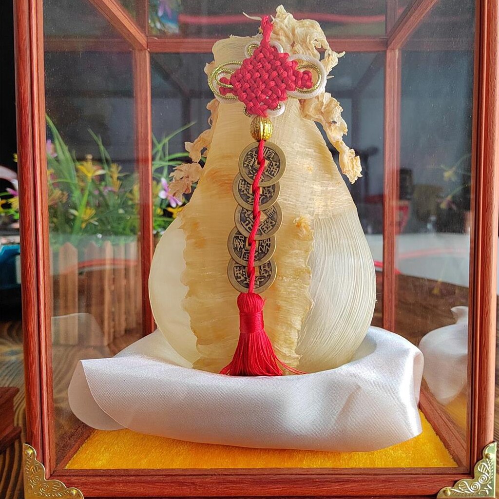 工厂干货花胶鲍参翅肚冻品原料
