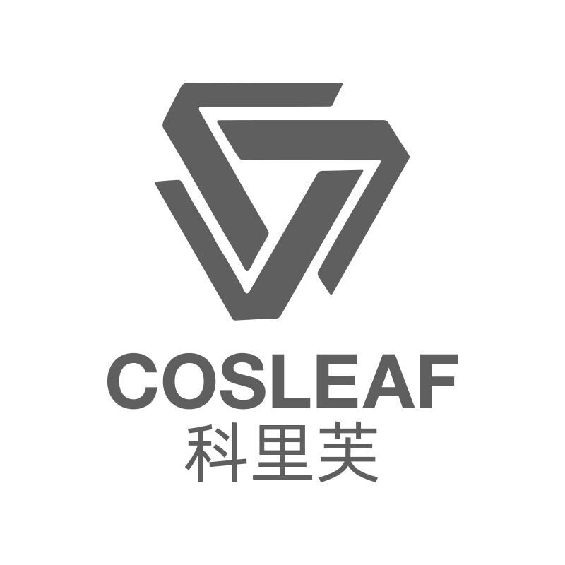 COSLEAF科里芙运动企业店