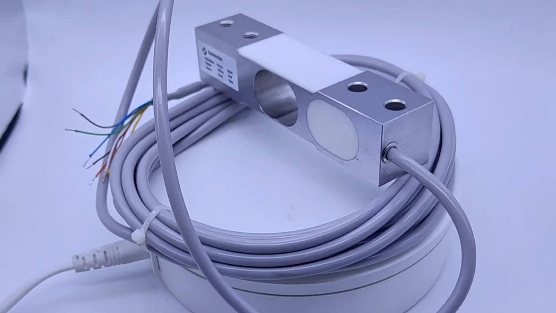 Hot Sale Schenck Weighing Sensor Pws D1 30kg Load Cell - Buy Schenck ...