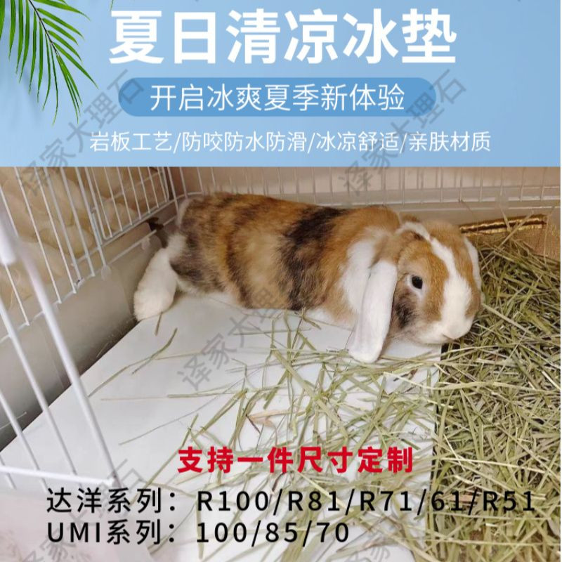 夏日降暑神器 🌞 - 兔子陶瓷巖板散熱墊腳板R81