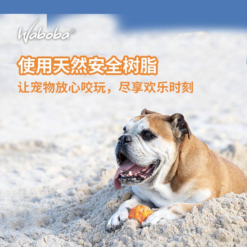 Waboba狗狗高弹球 + Tailwind耐咬飞盘：宠物运动必备，让你家毛孩子活力无限！-极限飞盘-淘宝好物网