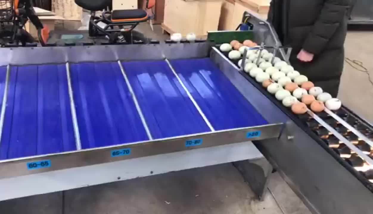 Chicken Egg Weight Automatic Classify Sorter Size Small Scale Grader ...