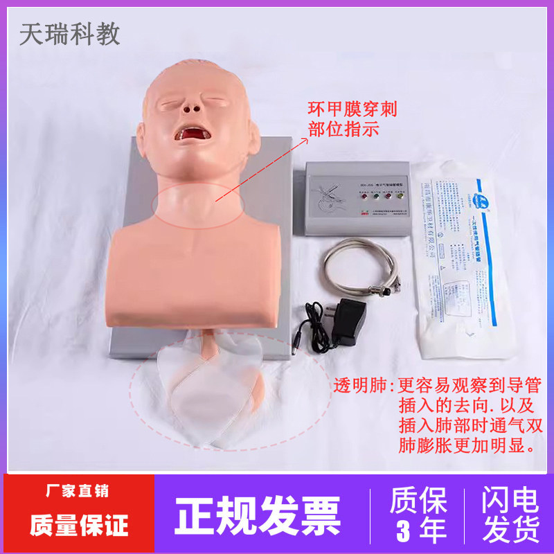J5s tracheal intubation model: the ultimate tool for medical training ...