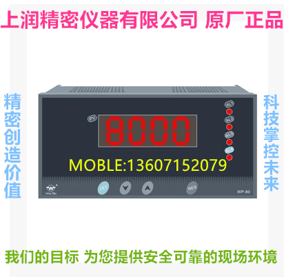 WP-40 Shangrun Instrument WP-C401-00-23-N-T C801 C901 WP-C401-02-08-N(G)