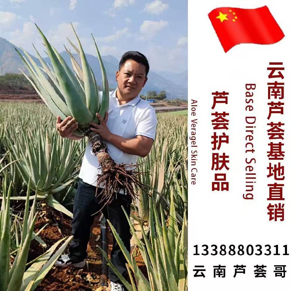 优荟甄选