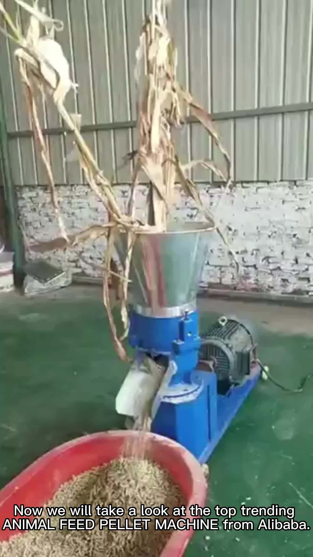 Animals Feed Pallet Maker Cat Floating Fish Feeds Pellet Making Machine ...