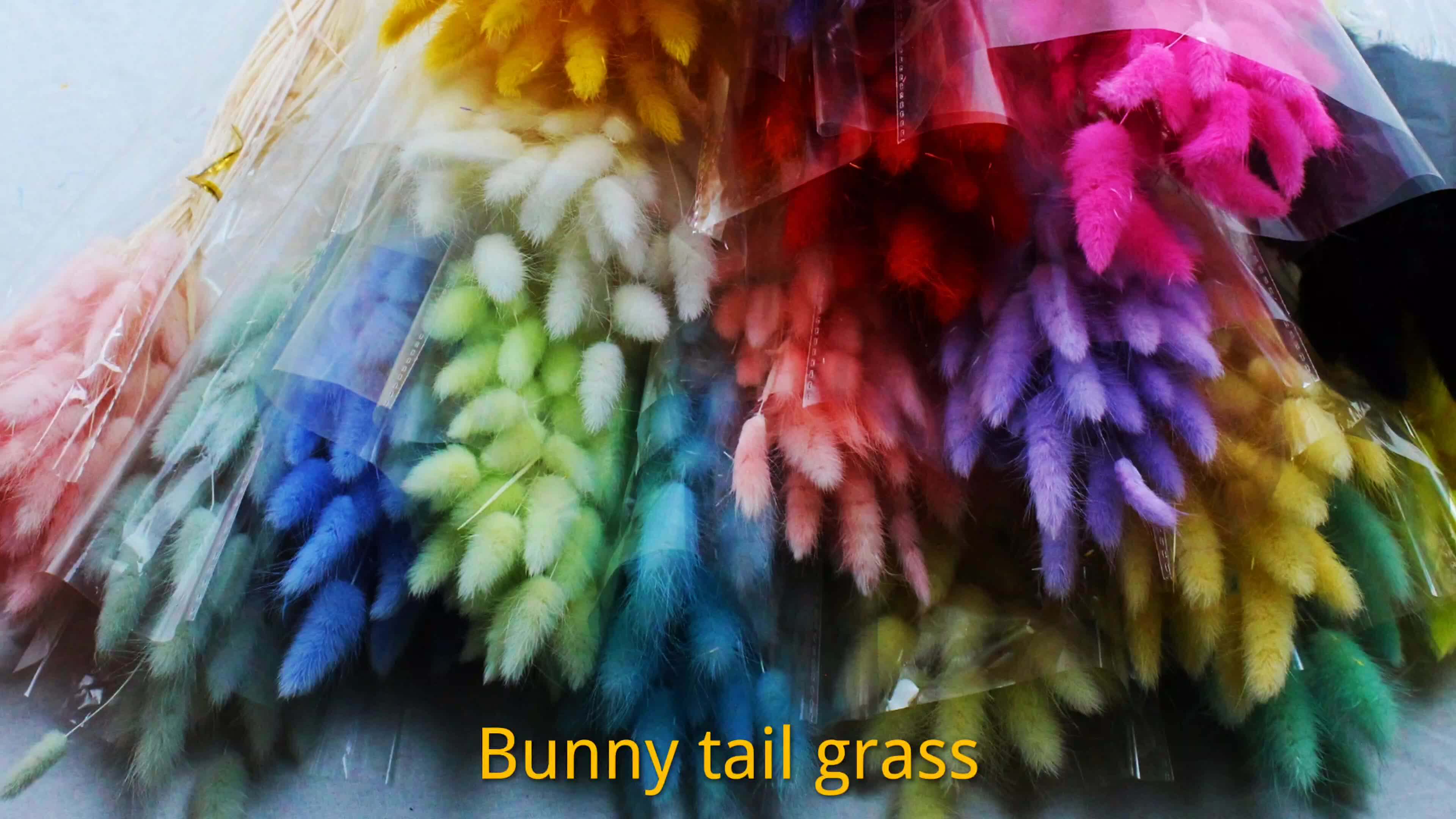 Oem&odm Factory Yzx Dried Natural Colorful Rabbit Tail Grass Fluffy ...