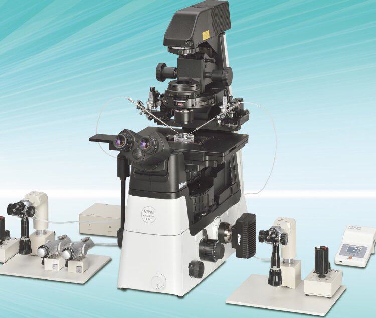 日本成茂Narishige NT-88-V3顯微操作儀：ICSI與轉基因微量注射的終極利器！