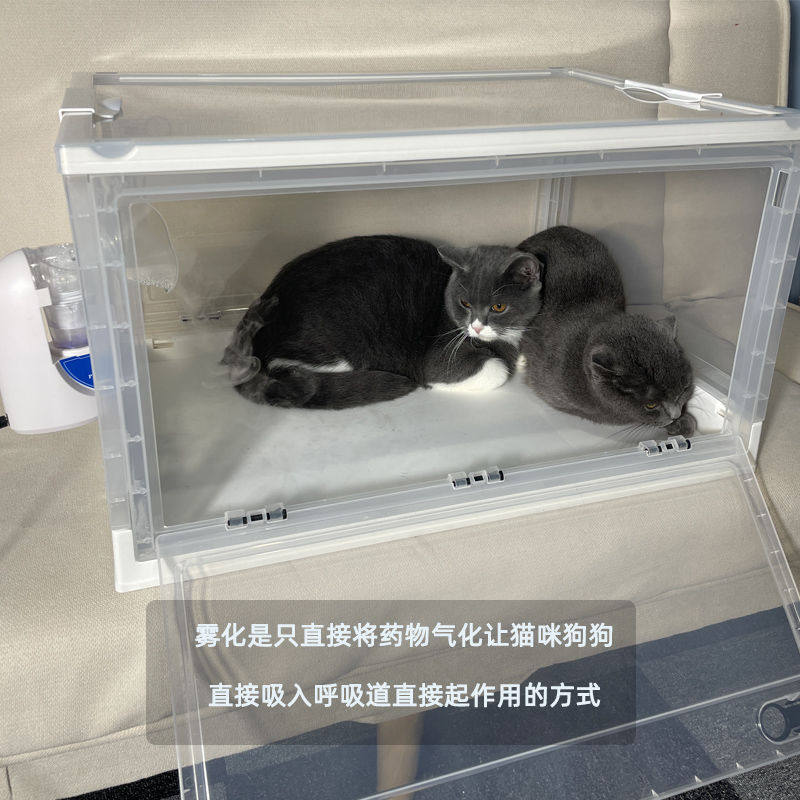 Pet nebulizer box - foldable oxygen therapy chamber for cats with nasal ...