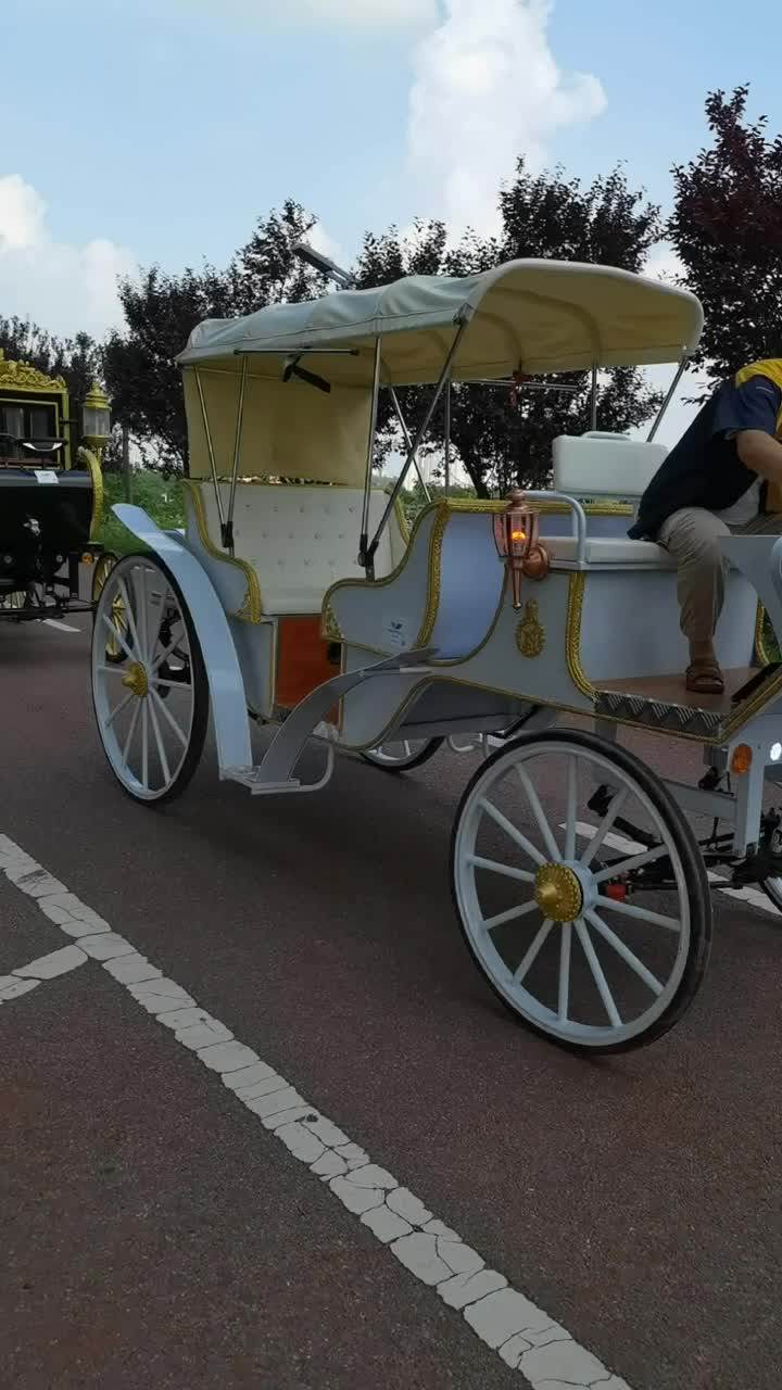 Cheap Price Horseless 12 Seats Electric Sightseeing Chuck Wagon ...