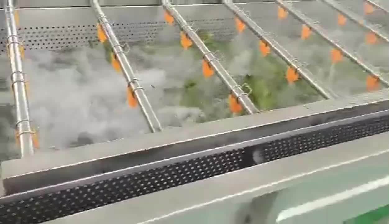 Industrial Complete Fresh Leaf Vegetable Processing Machine Line With ...