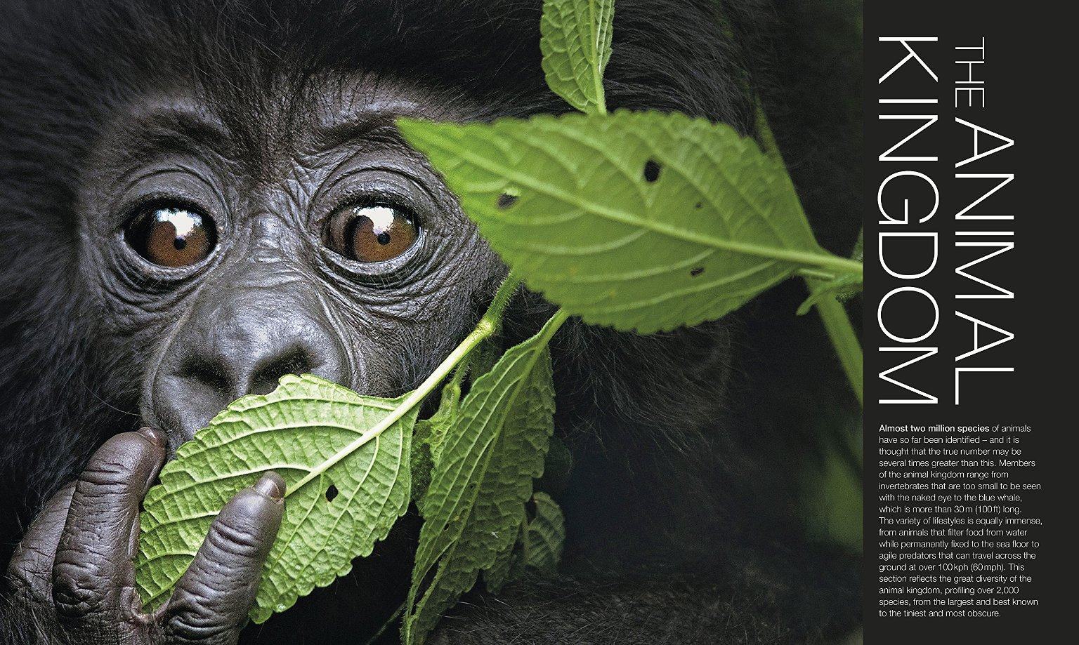 Купить Естественные науки издание Оригинальная английская версия ДК ...