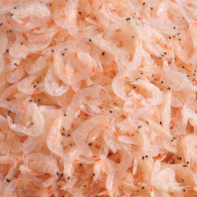 [USD 14.24] Pure Light Dried Shrimp Skin 500g Shrimp Millet Hemi Fujian ...