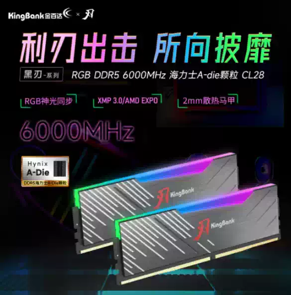 金百达 星刃黑刃海力士A RGB D5 6000 32G(16Gx2)套装内存C28 C26
