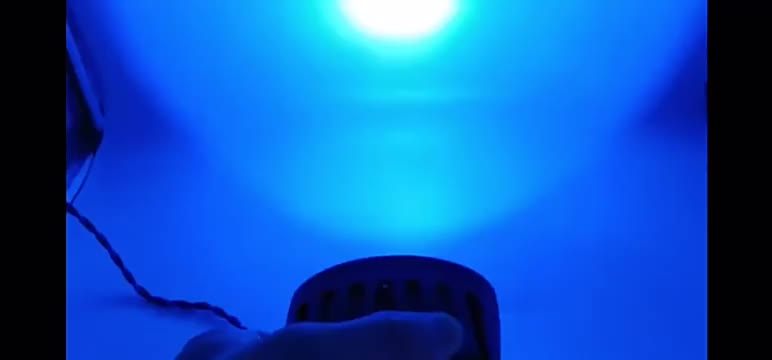 Wholesale Safety Blue Point Oval 4d Lens Led Work Light 4inch 20w 9-60v ...