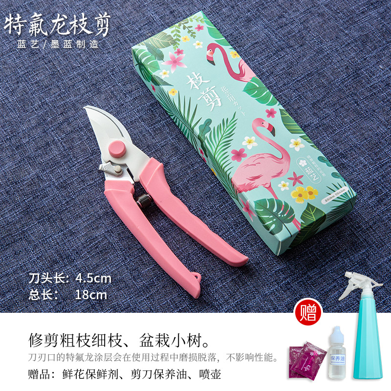 Chifang Cut Flower Arrangement Scissors Japanese Flower Shears Florist Special Gardening ...