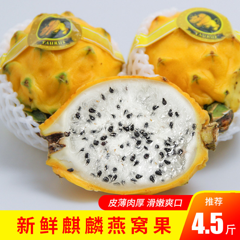 [USD 27.21] Fresh Kirin Fruit Bird's Nest Fruit Yellow Fire Dragon ...