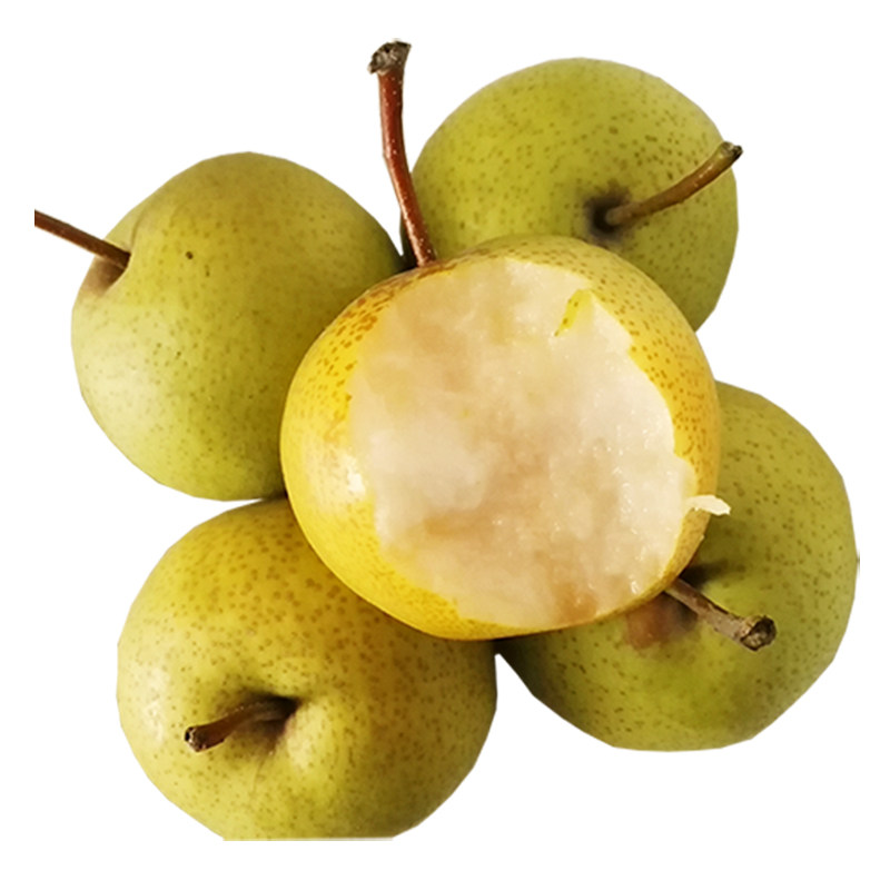 Tianjin Jixian mountain farm home 2021 fresh sour pear fine peel small ...