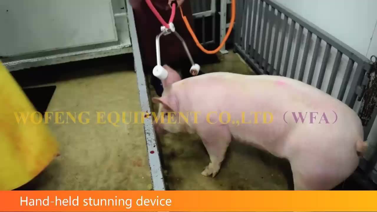 Full Set Small Pork Abattoir Slaughter Equipment Of Pig Electric Hand ...