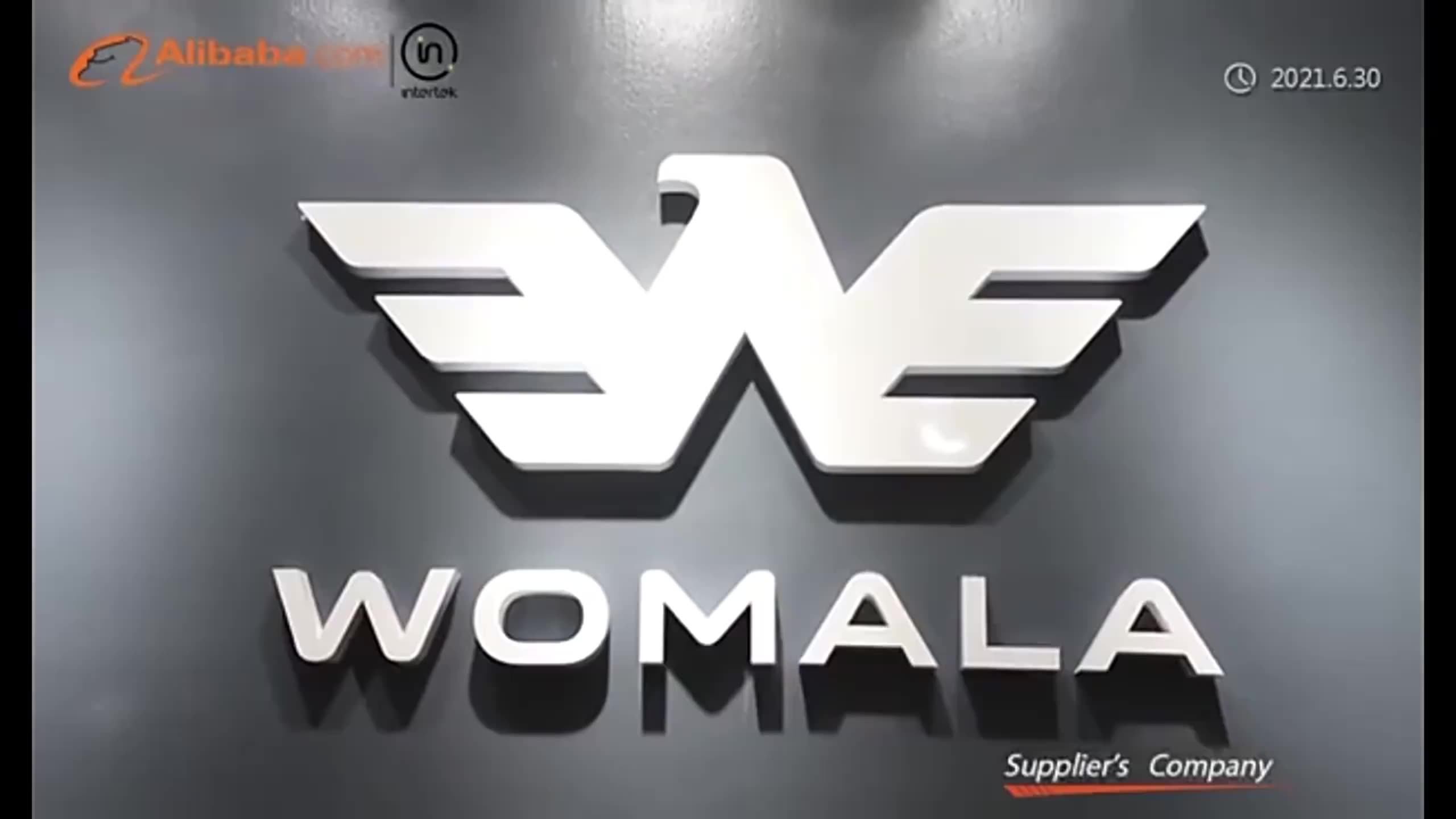 Womala New Genuine Auto Parts Car Fog Light Lamp Driver Left Side Auto ...