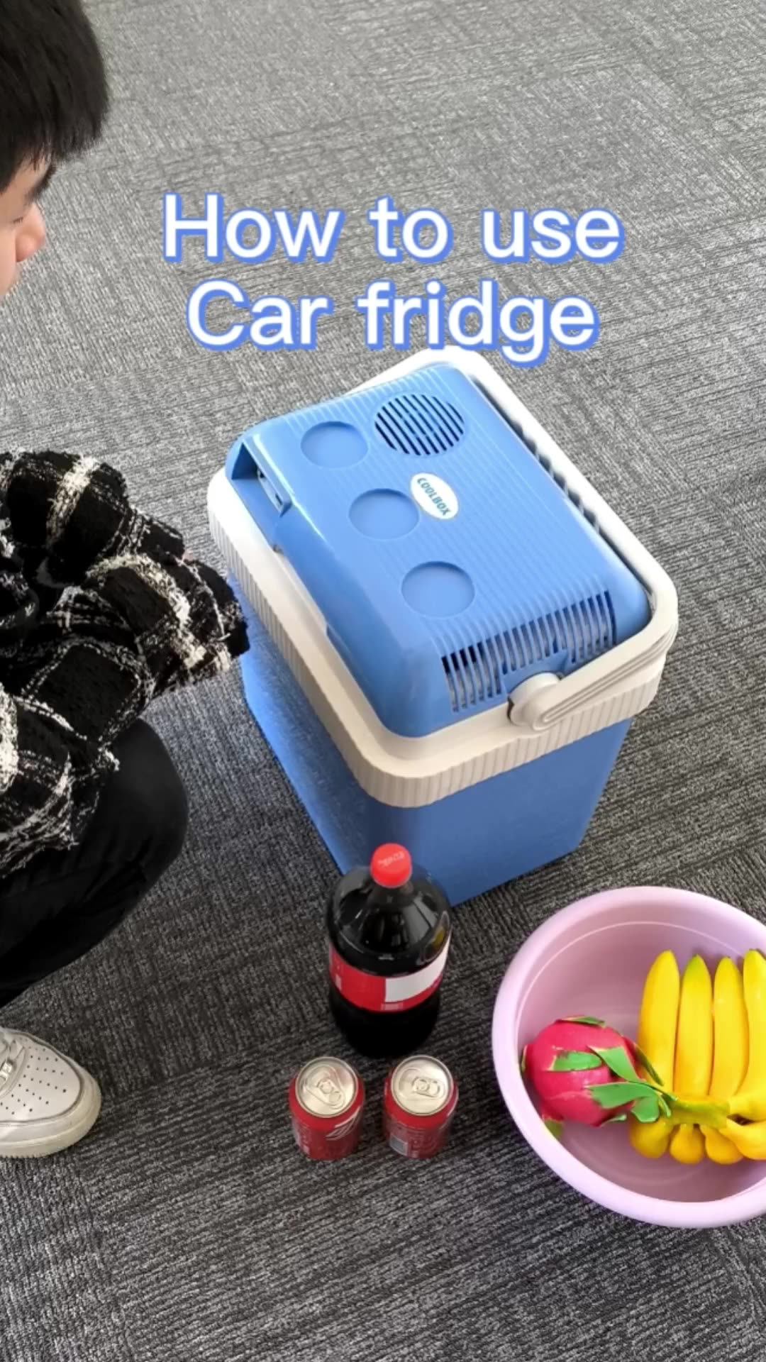 Customized Dc 12 Volt Semiconductor Fridge Electric Cooler Vehicle ...