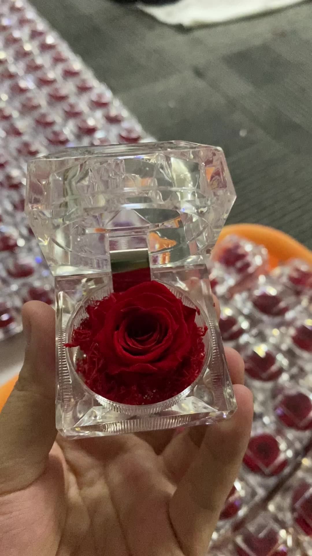 Preserved Fresh Flower Eternal Rose With Acrylic Crystal Ring Box Gifts ...