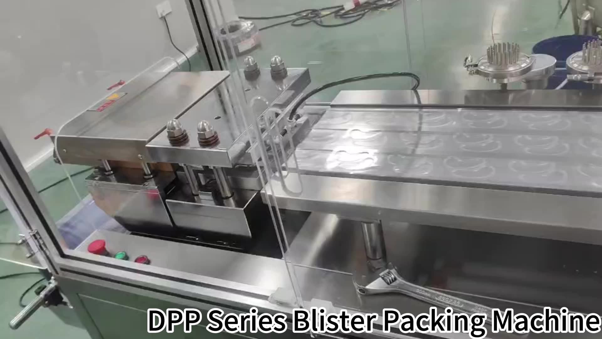 Alu Alu Pvc Egg Paper Plastic Pp Blister Packing Machine Factory ...