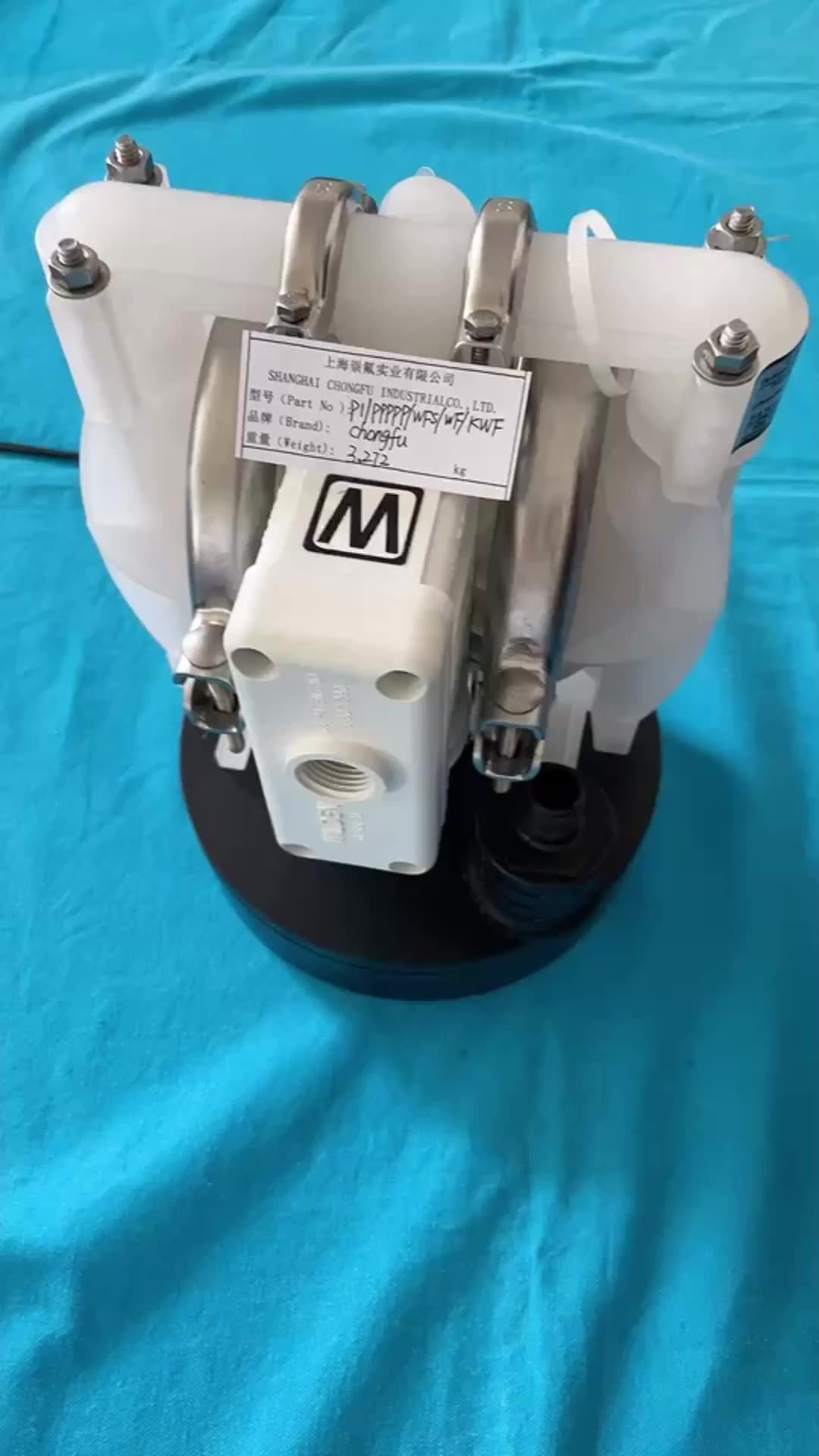 Wilden P1 Pneumatic Diaphragm Pump With Santoprene Diaphragm ...