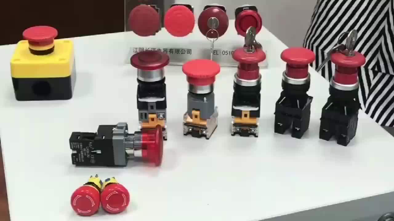 Cjk22 Series 22mm Plastic 2 Position Selector Push Button Switch On Off ...