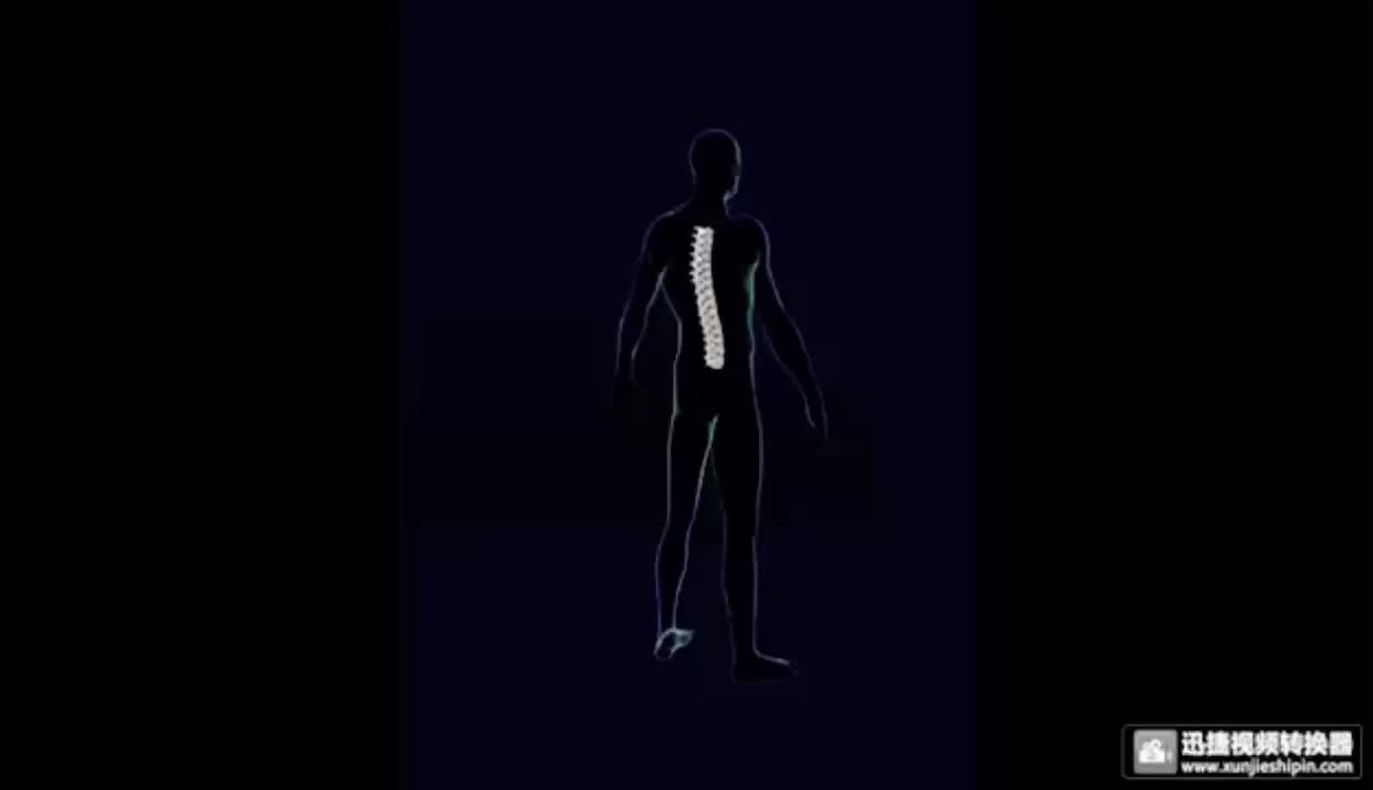 Alphay Compound Pulley System Posture Corrector Adjustable Lumbar Spine ...