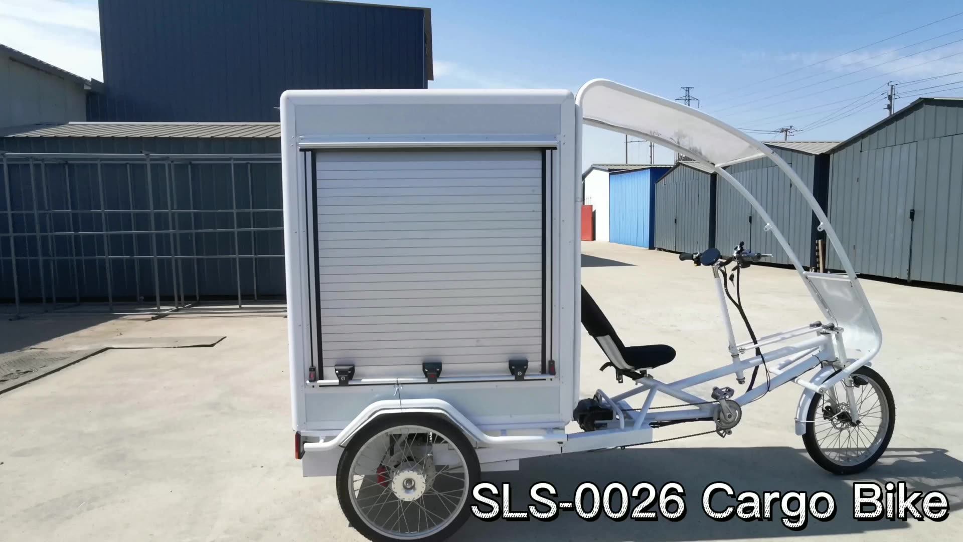 Electric Cargo Bike For Delivery Good Sale In China Delivery Bike 3 ...