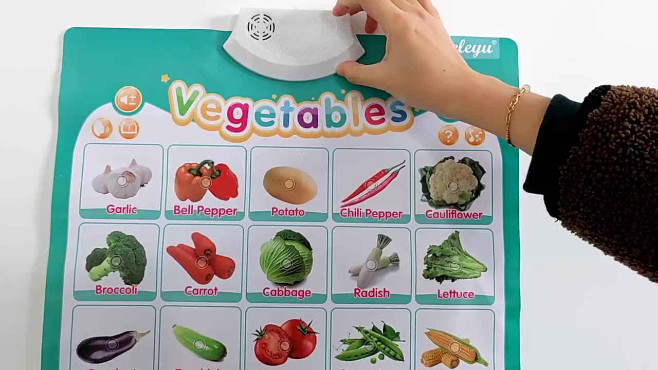 Electronic Bilingual Alphabet Poster English Abc Talking Maps Wall ...