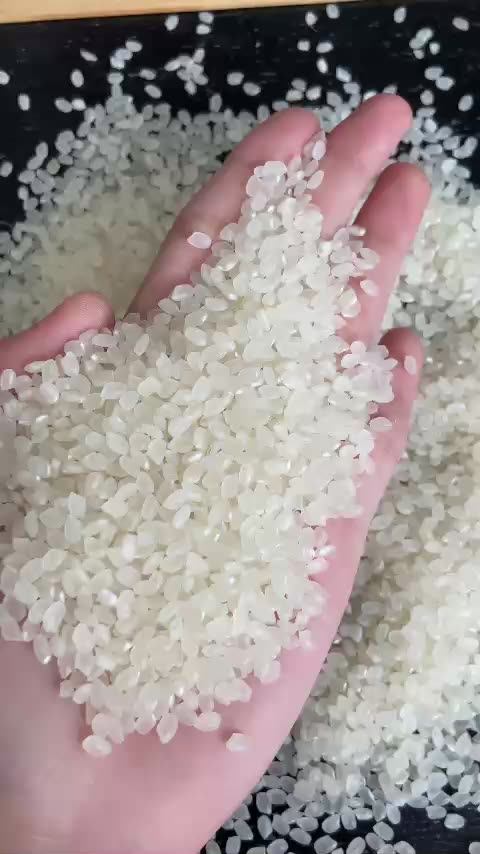 Whole Grain Japonica Round Rice 3% 5% Broken /pearl Rice/ Calrose ...