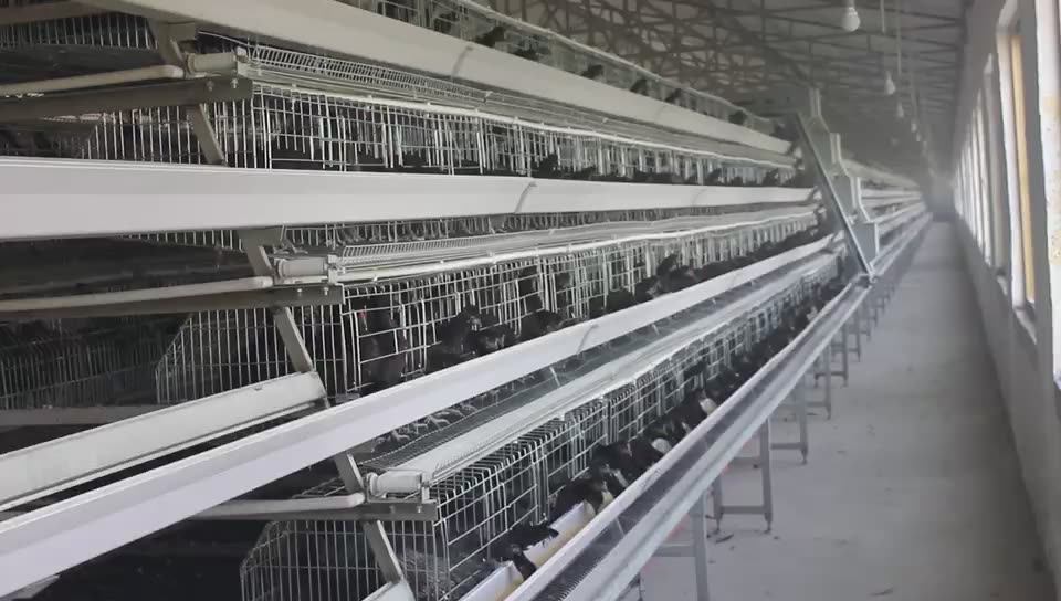 Enriched Colony System Poultry Chicken Cage Laying Hens - Buy Poultry ...