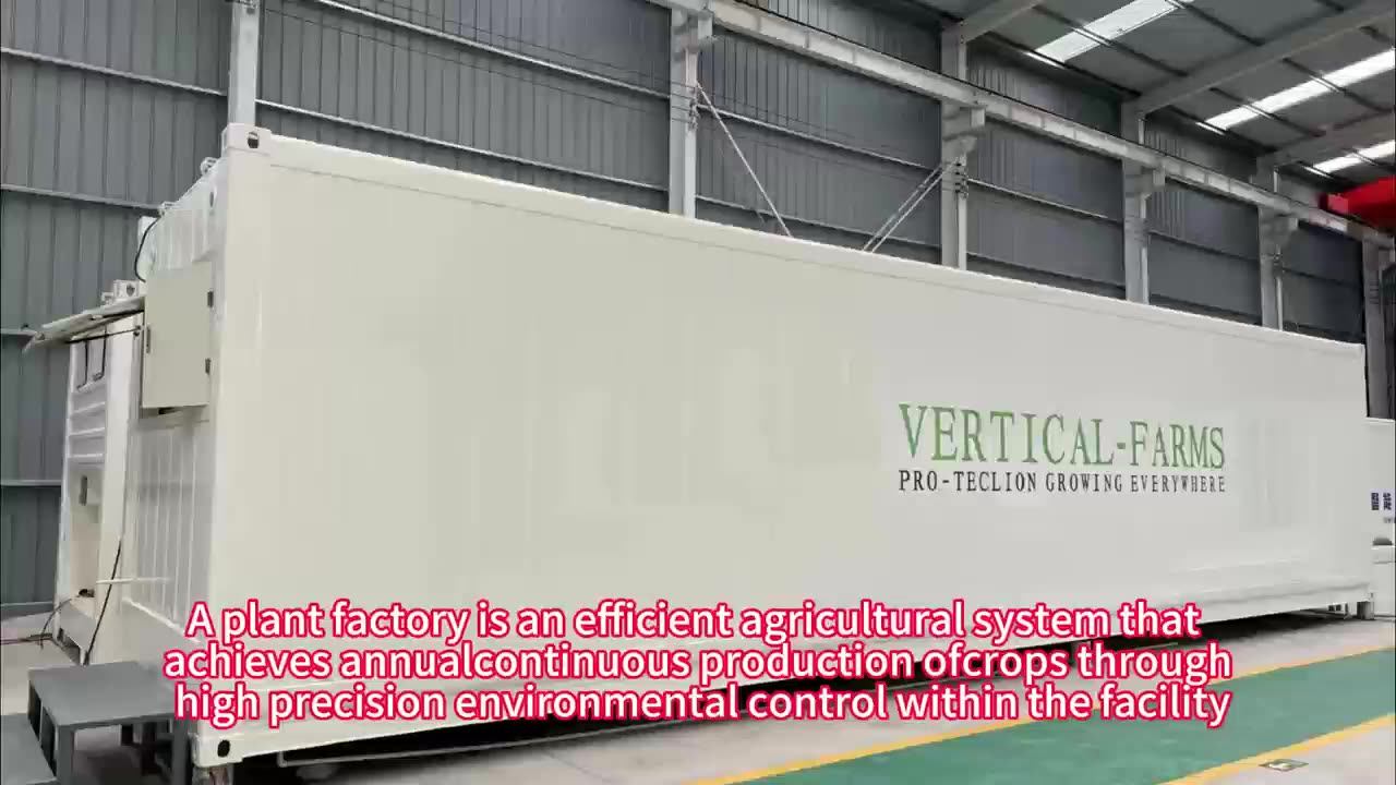 Skyplant Shipping Container Farm Container Greenhouse Vertical Farming ...
