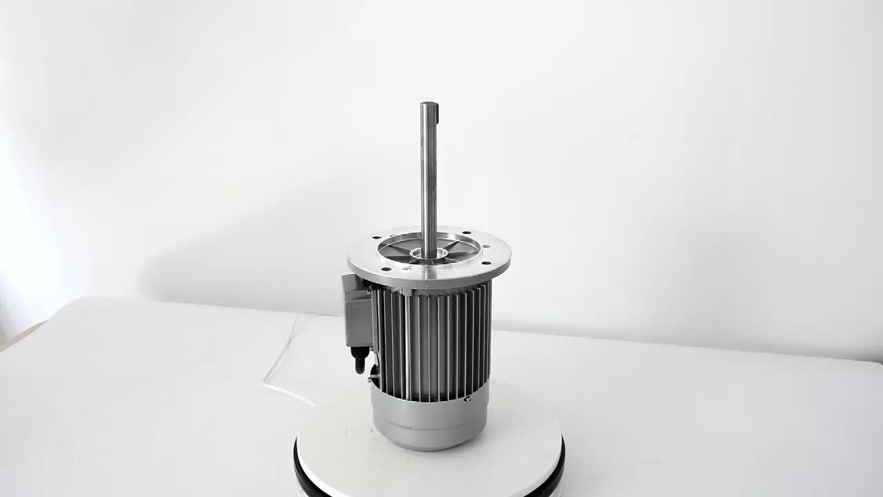 750w Long Shaft Motor 380v High Temperature Small Electr Motor Price Ac ...
