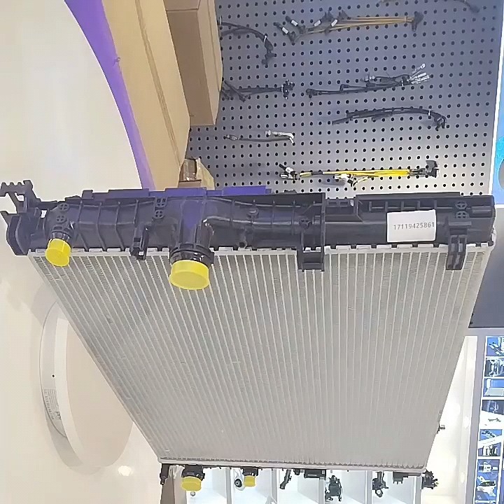 Auto Aluminum Brazing Coolant Radiators 1265004103 1265005103 ...