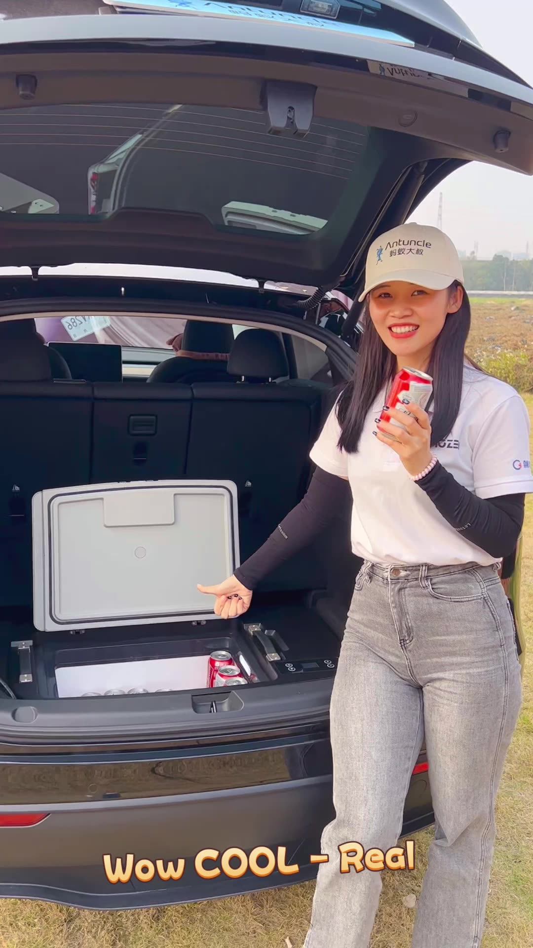 Tesla Model Y Accessories Compressor Car Fridge 35l Freezer Portable ...