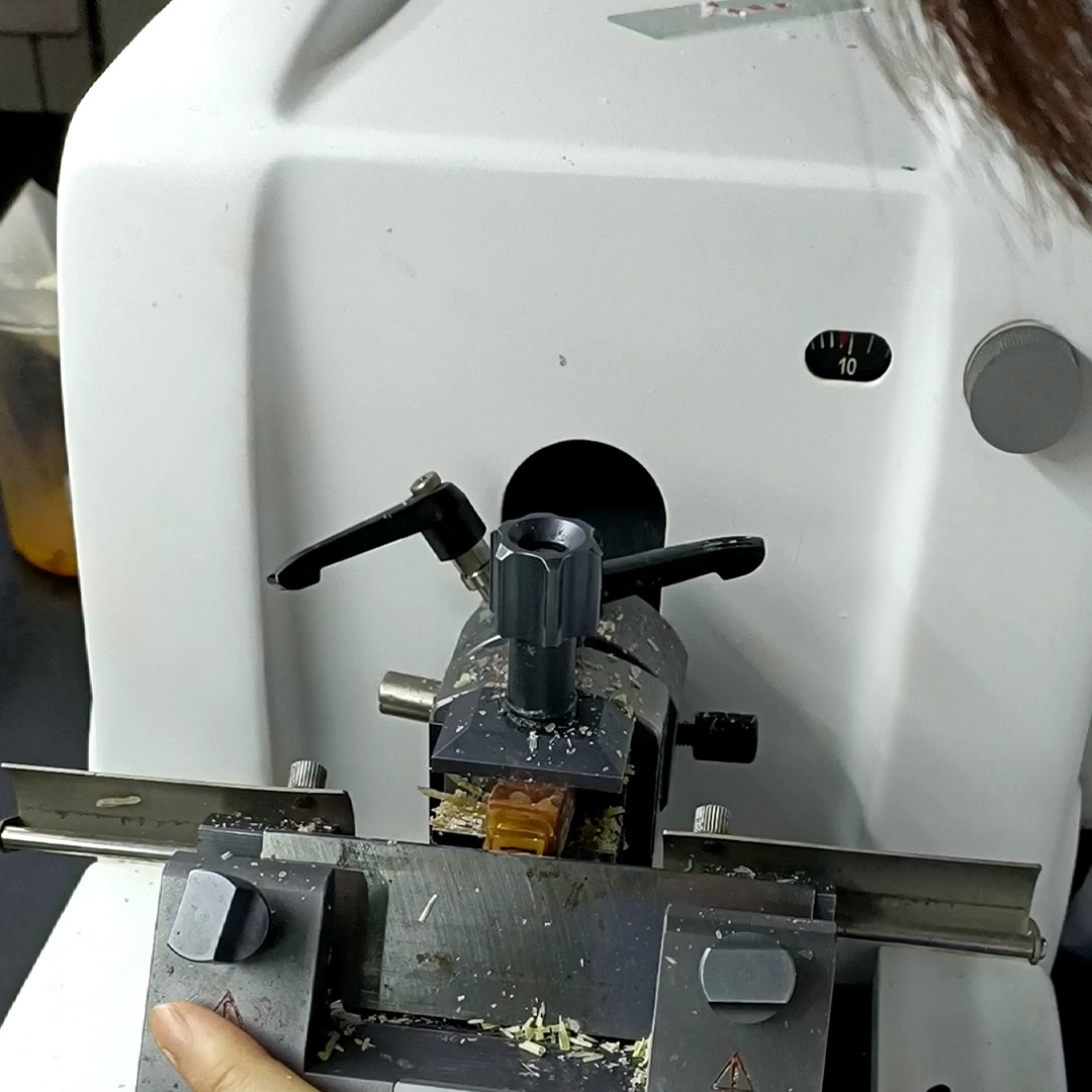 Lab Survey Medical Science Human Oral Teeth Pathological Prepared ...