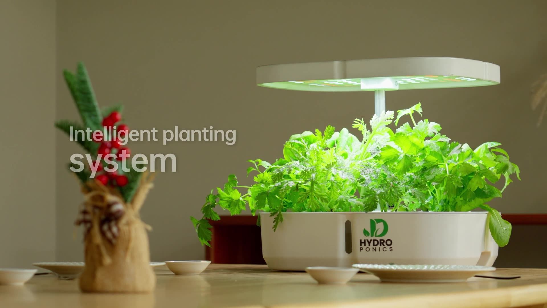 Wholesales Hydroponics Growing System Indoor Garden Built-in Timer ...