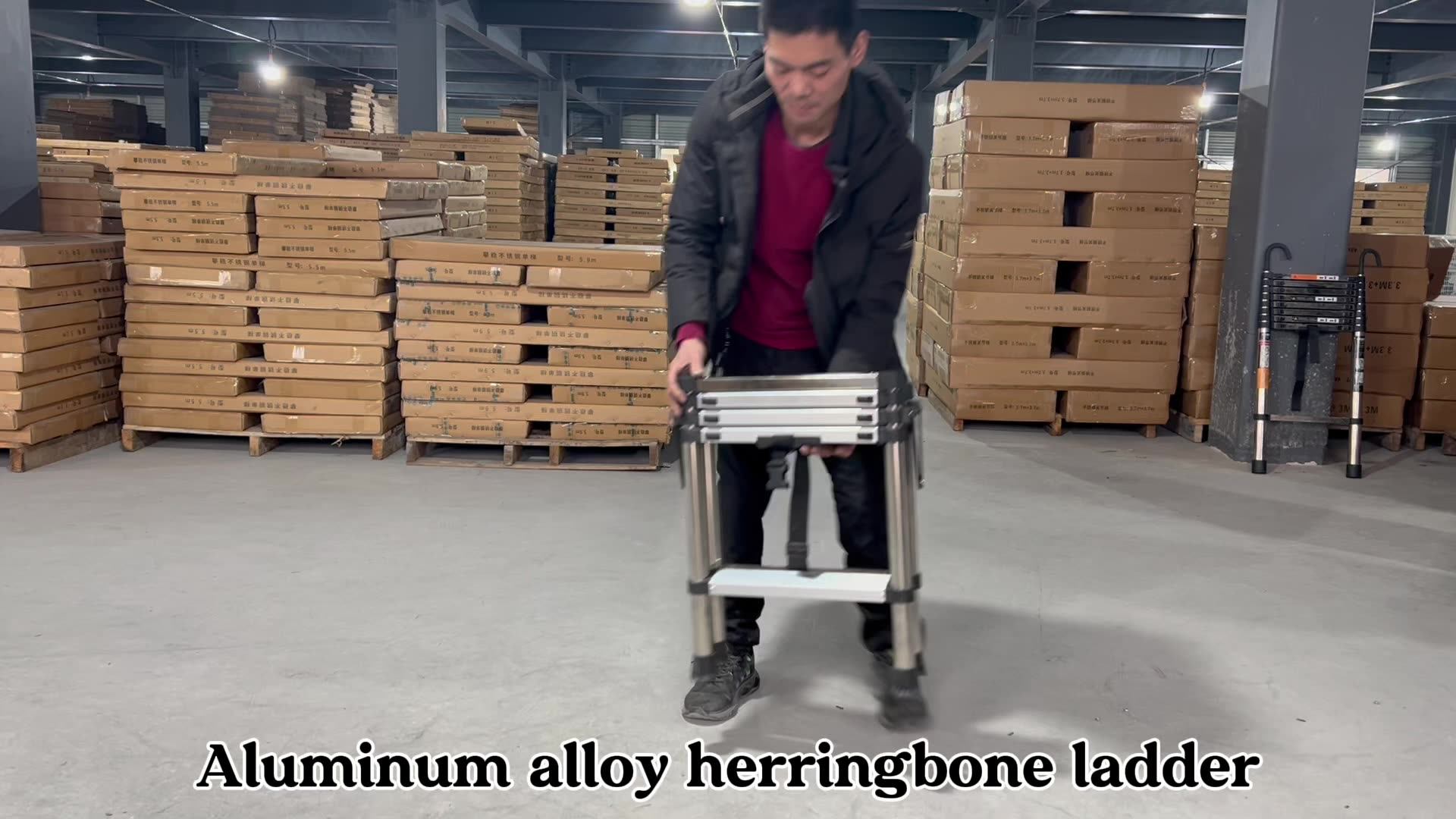 Modern Telescoping Small Telescopic Step Ladder Stainless Steel ...